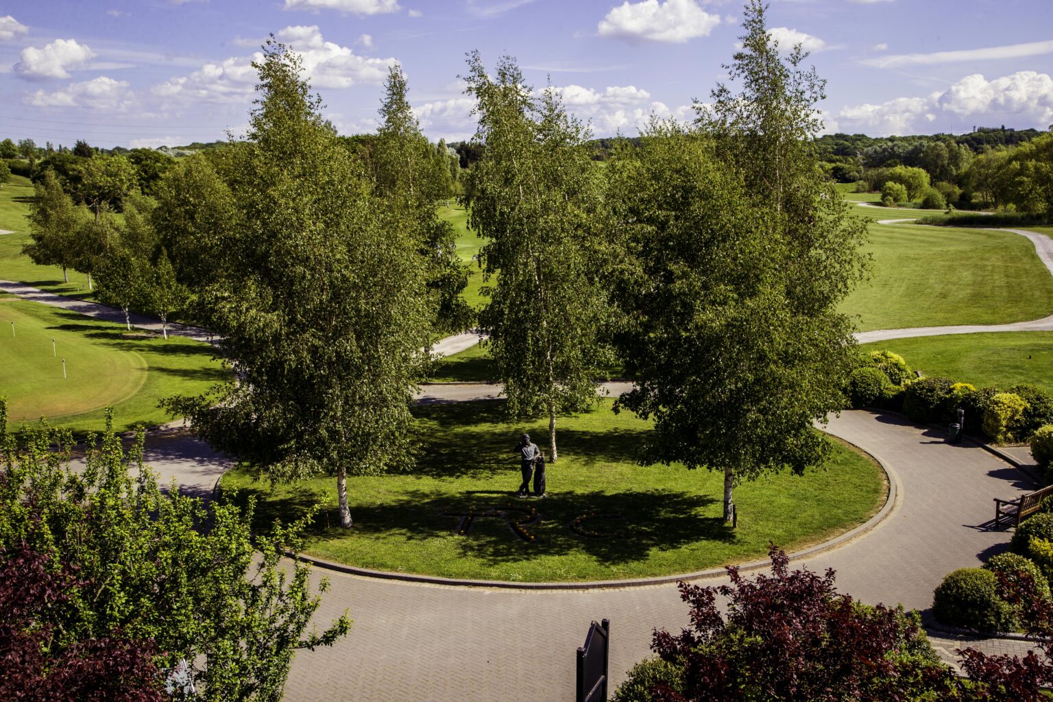 Fees and Memberships – The Rayleigh Club